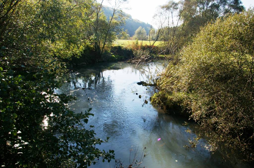 Reka Dravinja (od mostu v Ločah do mostu v Makolah) - Ribiška družina ...