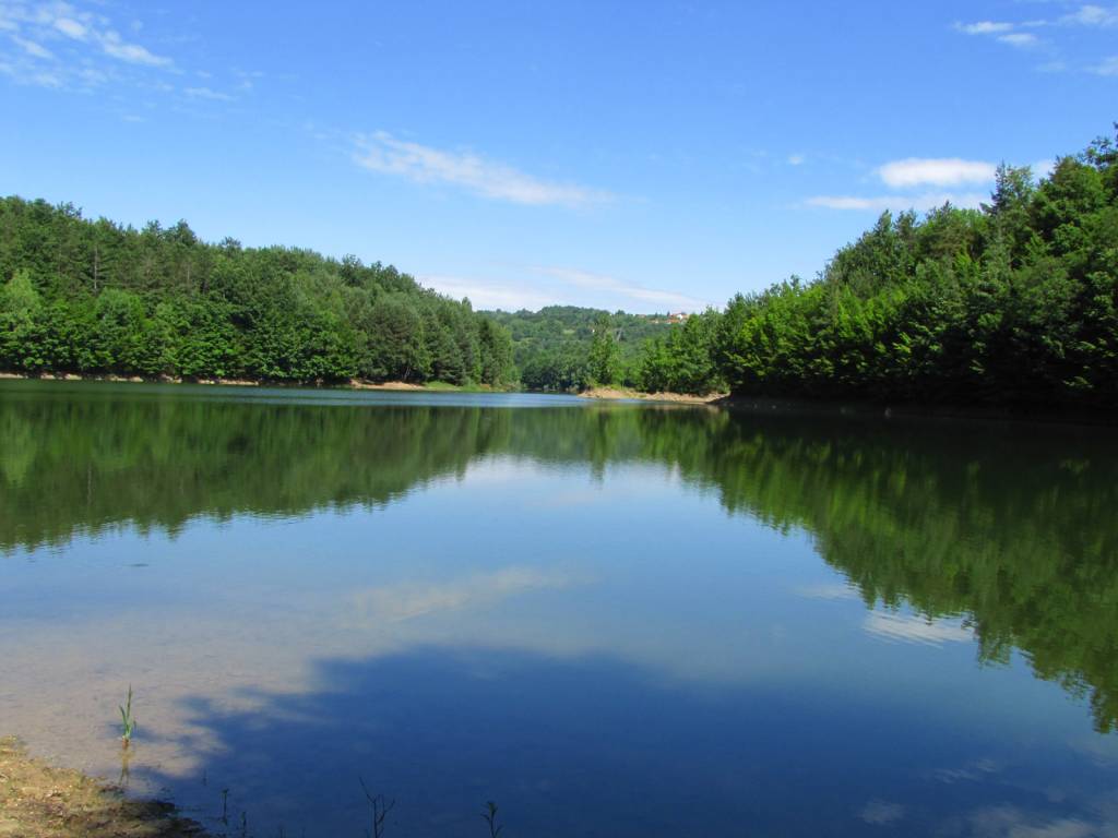 Jezero Mola - Ribiška družina Bistrica - Spletni nakup ribolovnih ...