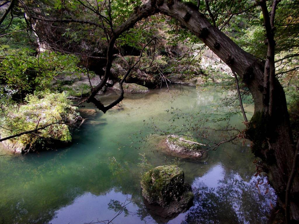The river Kokra - Fishing family Kranj - Fly fishing, fishing Slovenia ...