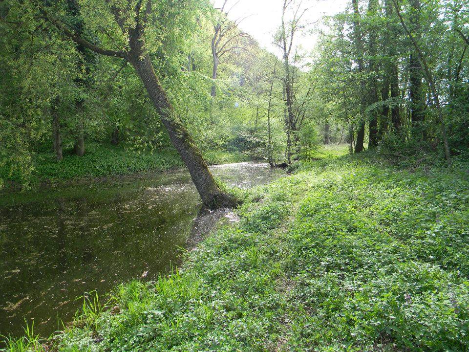 The backwater Hokn - Fishing family Mura Paloma - Fly fishing, fishing ...