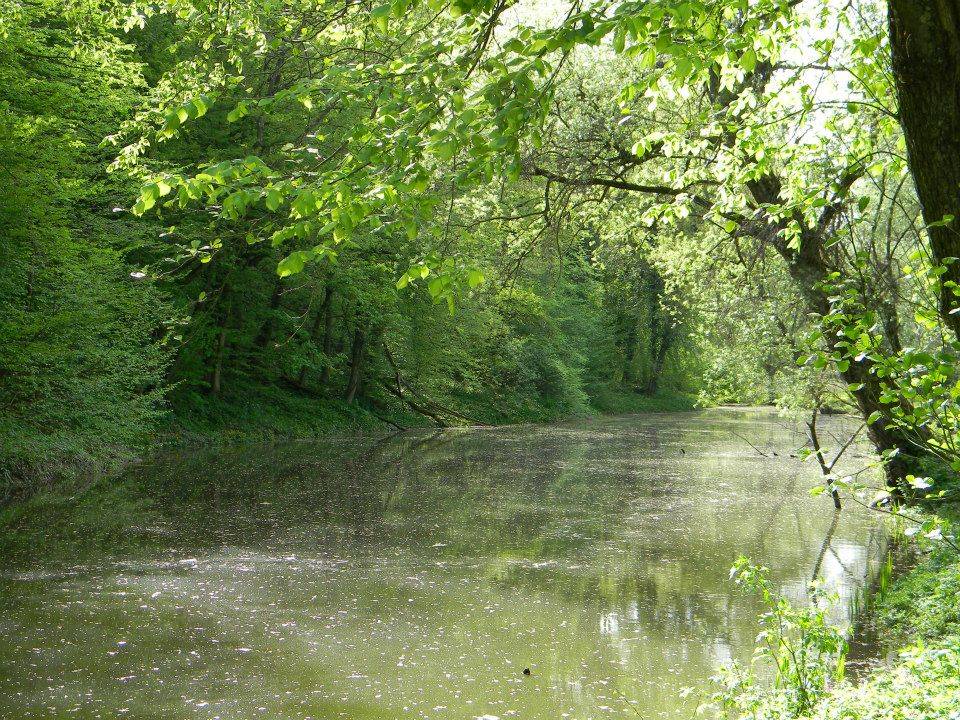 The backwater Hokn - Fishing family Mura Paloma - Fly fishing, fishing ...