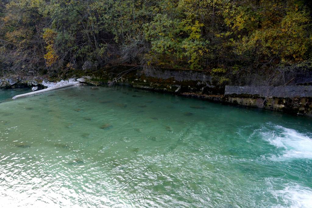 Sava Dolinka (von der Berierre in Moste bis zum Zusammenfluss mit der ...
